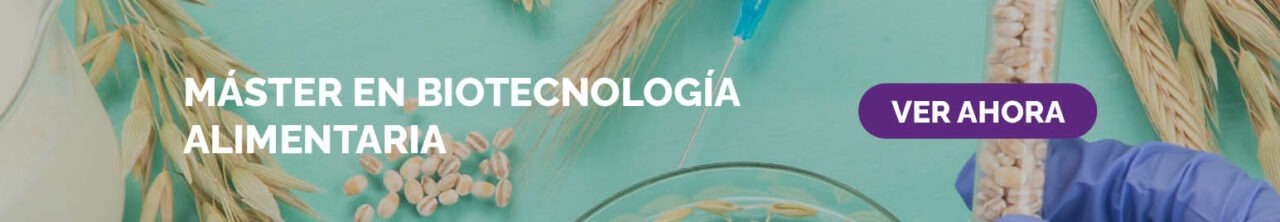 Bacterias Lácticas: Qué Son y Qué Hacen | Instituto Química