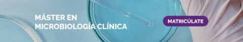 Microbiología e Higiene alimentaria: Qué es y Qué estudia | IEQFB