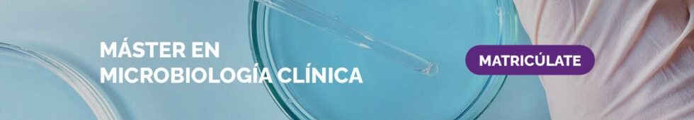 Microbiología e Higiene alimentaria: Qué es y Qué estudia | IEQFB